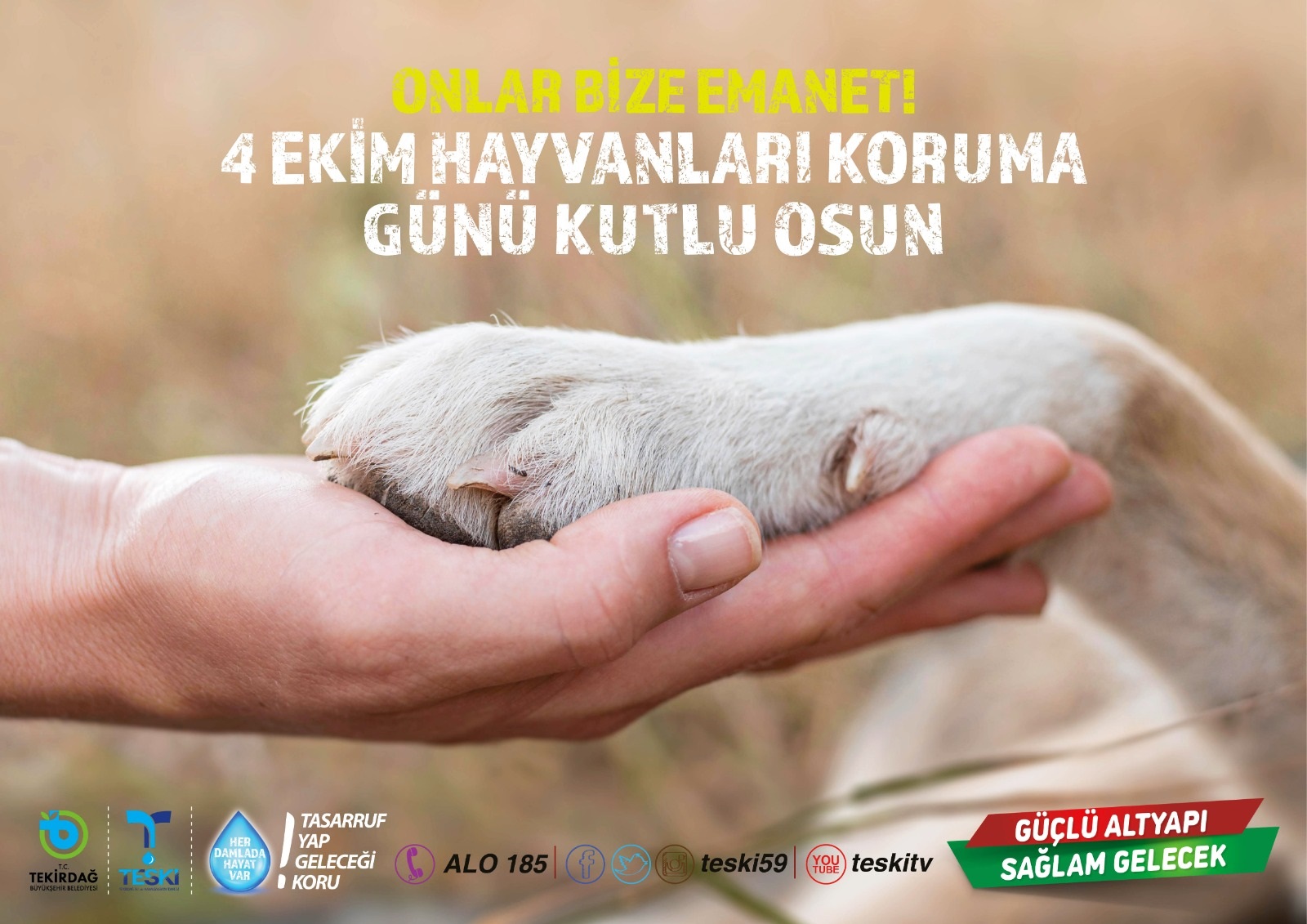 4 EKİM HAYVANLARI KORUMA GÜNÜ KUTLU OLSUN